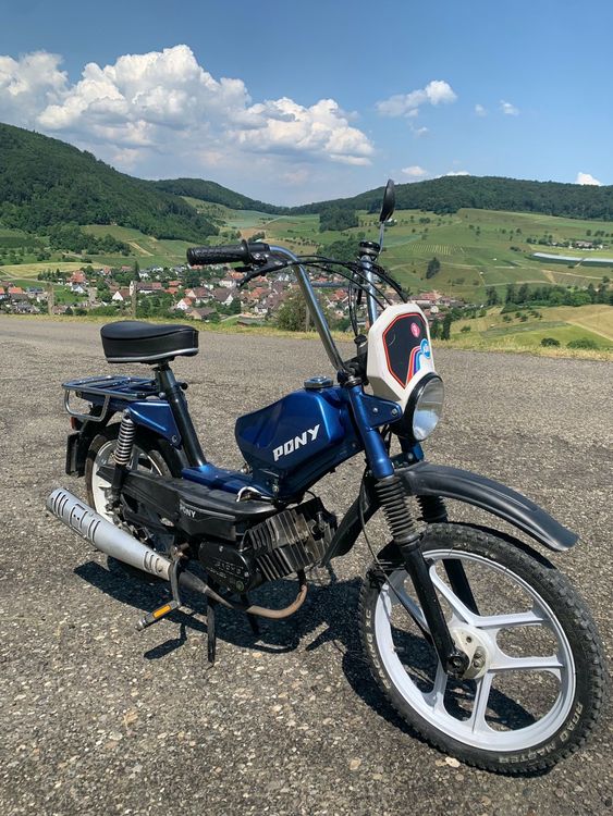 Pony GTX / mit AUSWEIS (Gebraucht) in Maisprach für CHF 840 – nur ...