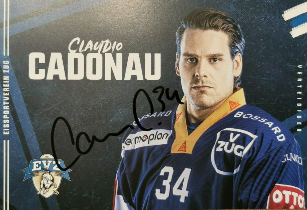 SCL Tigers, EV Zug EVZ, ZSC Lions, EHC Biel ORIGINAL #43 #34 (Gebraucht ...