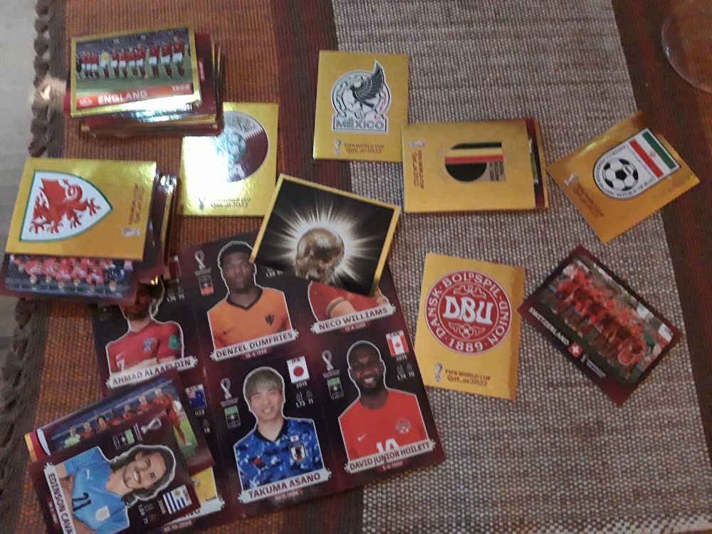 Panini Bilder WM 2022 | Kaufen auf Ricardo