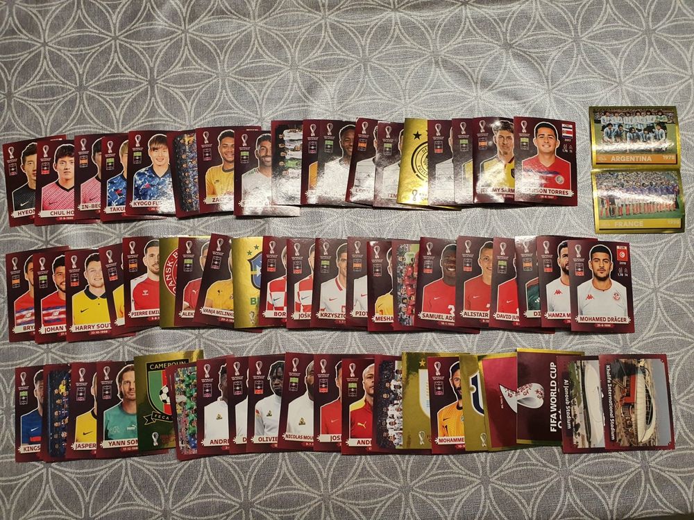 Panini WM 2022 Stickers | Kaufen auf Ricardo