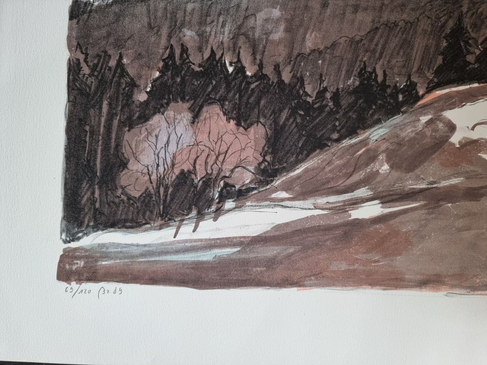 FRED BAUMANN SIGNIERT NUMMERIERT LITHOGRAPHIE (NAPF) (Gebraucht) in Gersau für CHF 38 – mit ...