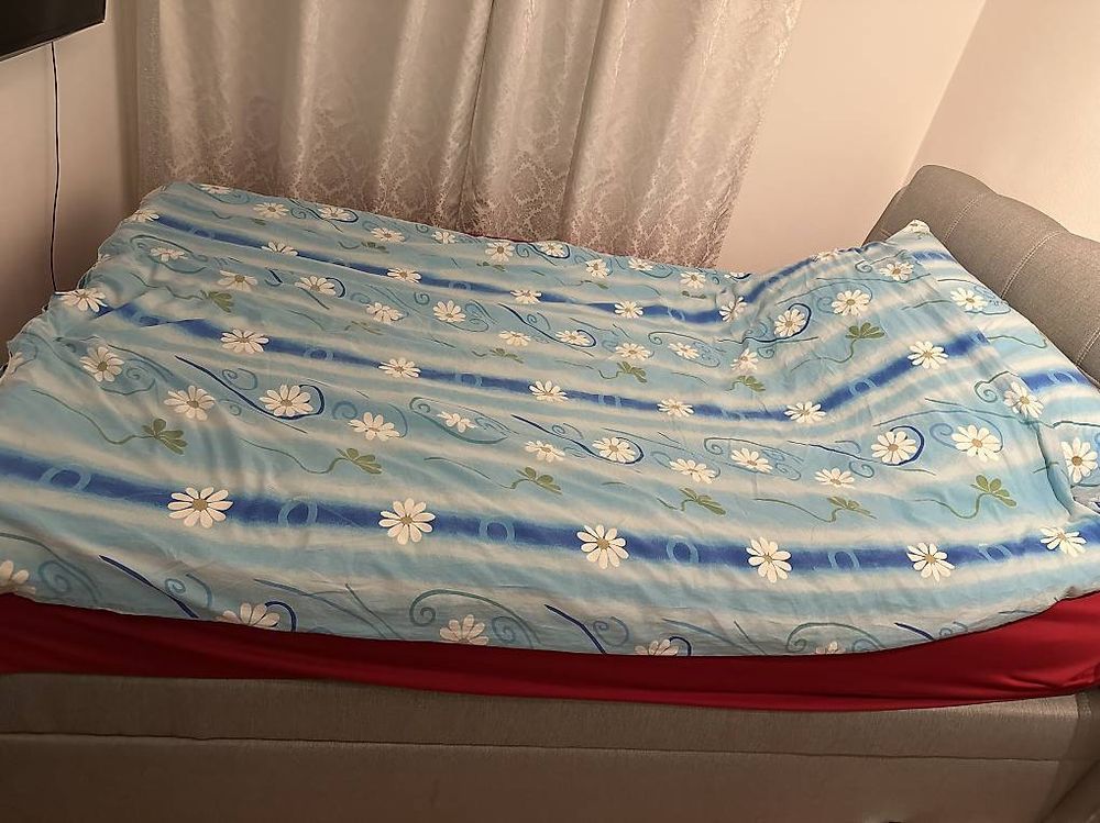 Nur das Boxspringbett | Kaufen auf Ricardo