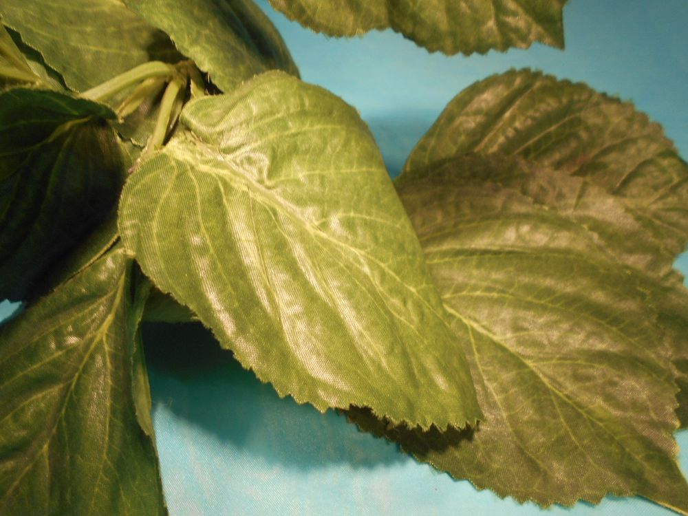 12 grüne Blätter für Basteln oder Deko (Gebraucht) in Bellach für CHF 1 ...