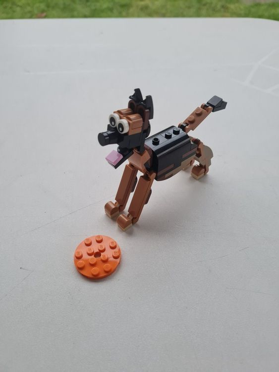 Lego Creator Hund 3 in 1 (30578) (Gebraucht) in Safenwil für CHF 3.9 ...