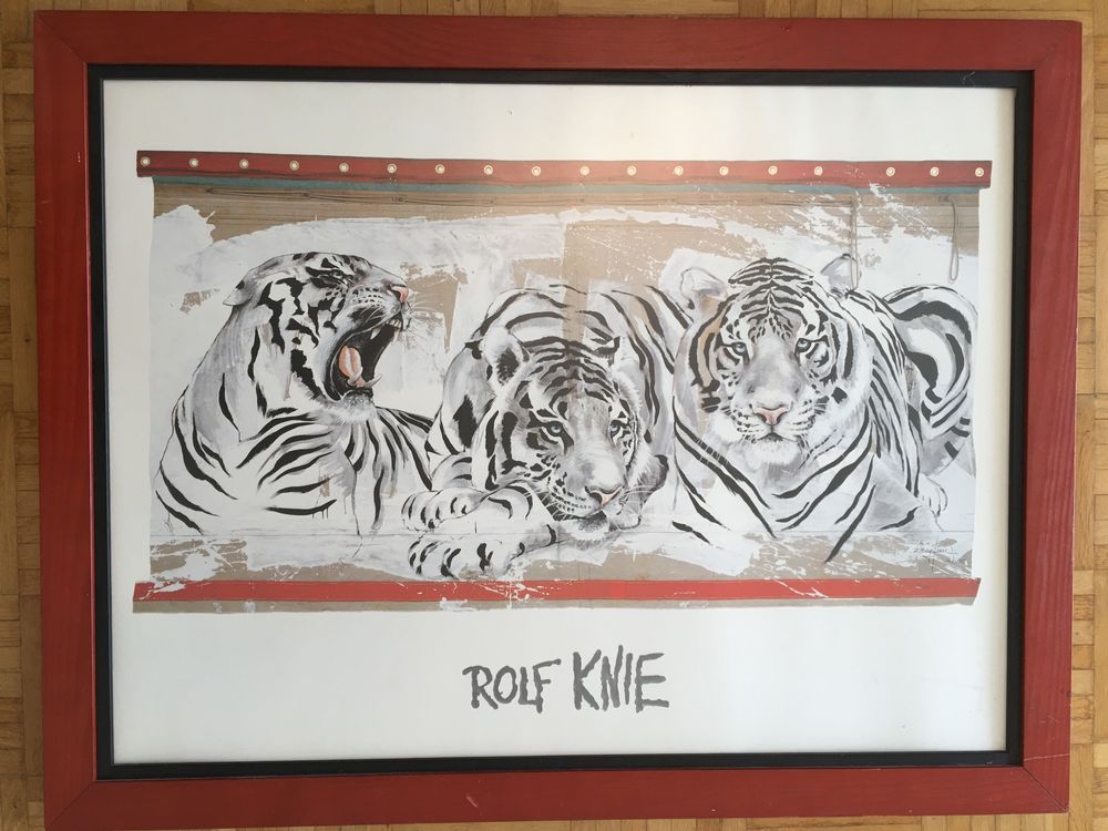 ROLF KNIE „Weisse Tiger“ | Kaufen auf Ricardo