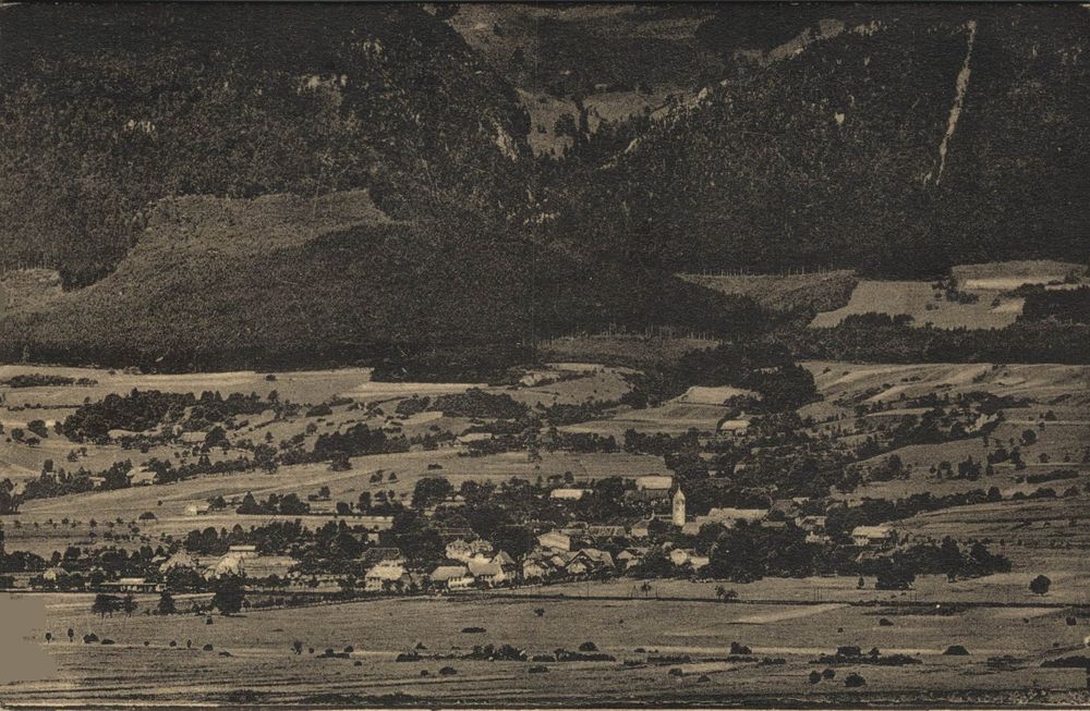 Selzach, Gesamtansicht (Gebraucht) in Bronschhofen für CHF 8 – mit Lieferung auf Ricardo kaufen