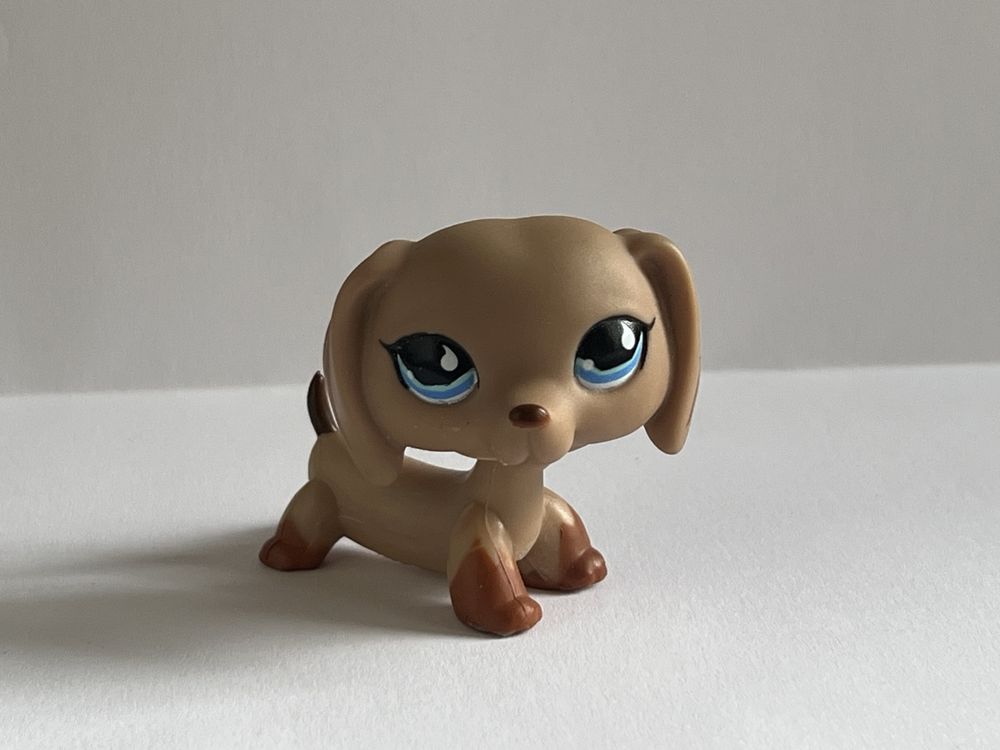 Littlest Pet Shop (LPS) Dackel #518 (Gebraucht) in Glarus für CHF 19 ...