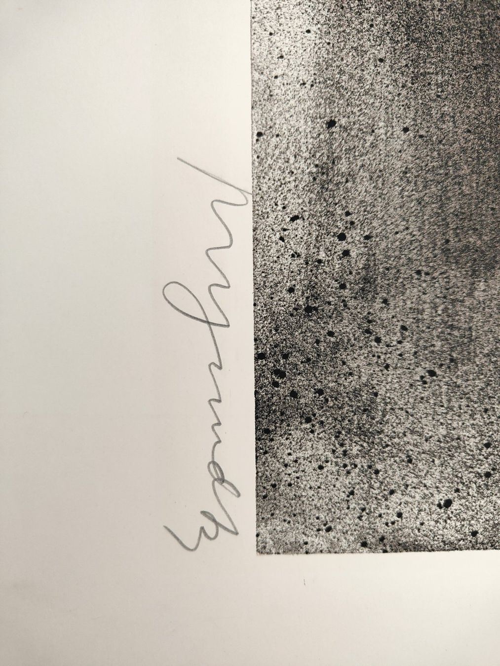 Roger PFUND Né en en 1943 à Berne - Lithographie (D'occasion) à Chêne ...