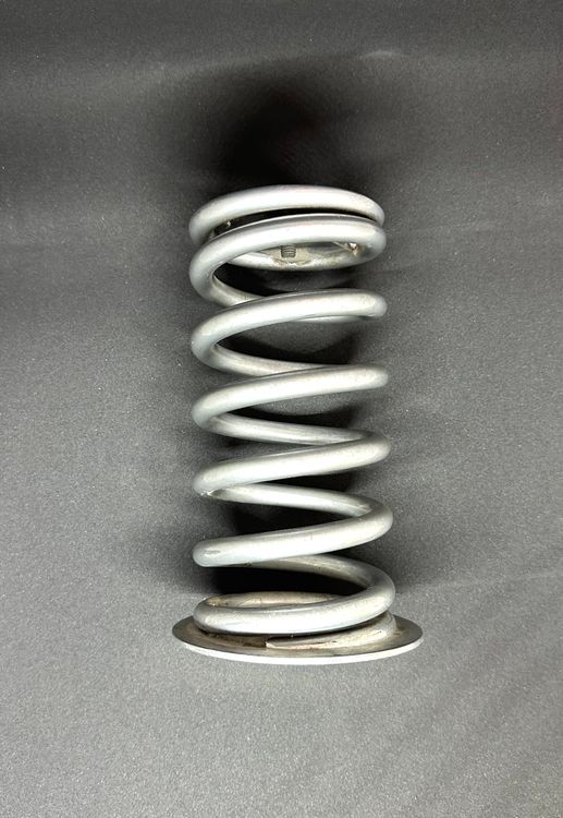 Metall Feder für diverse Anwendungen . (Gebraucht) in Grüt (Gossau ZH ...