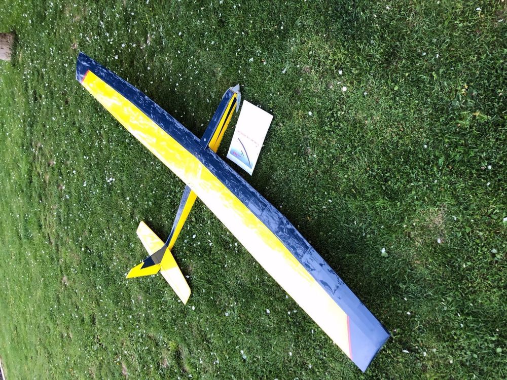 Elektrosegler Riser 100 von SIG (Neu (gemäss Beschreibung)) in ...