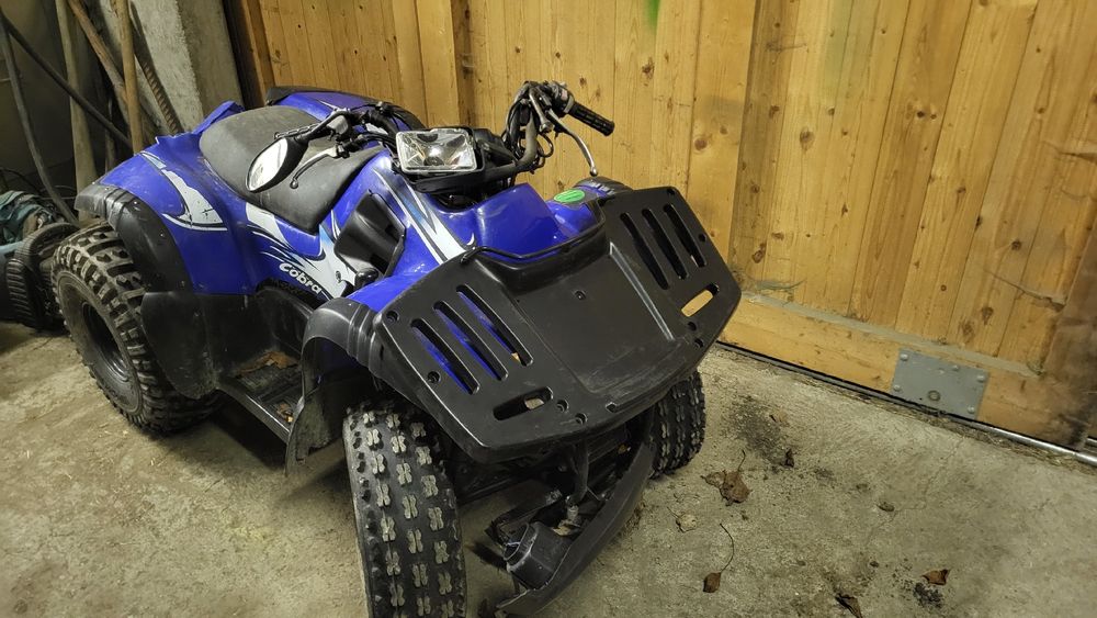 Quad Aeon 180 (Defekt) in Pitasch für CHF 461 – nur Abholung auf ...