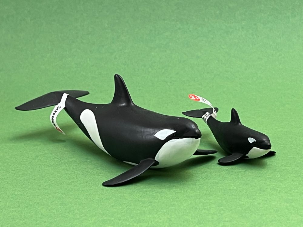 Schleich Orka und Orka Kalb Orca | Kaufen auf Ricardo