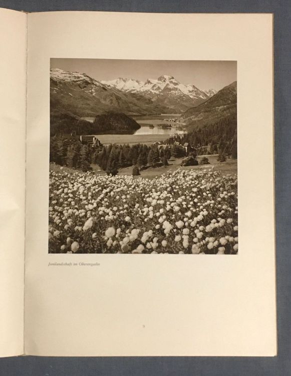 Albert Steiner: Engadiner Landschaften | Kaufen auf Ricardo