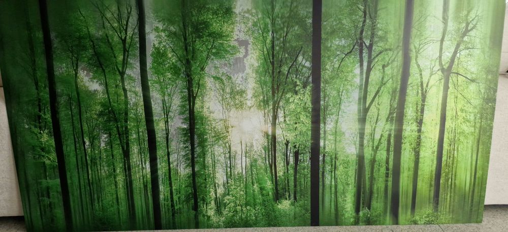 Wald-Natur-Bild Aluprint, 200x98cm (Neu (gemäss Beschreibung)) in Root ...