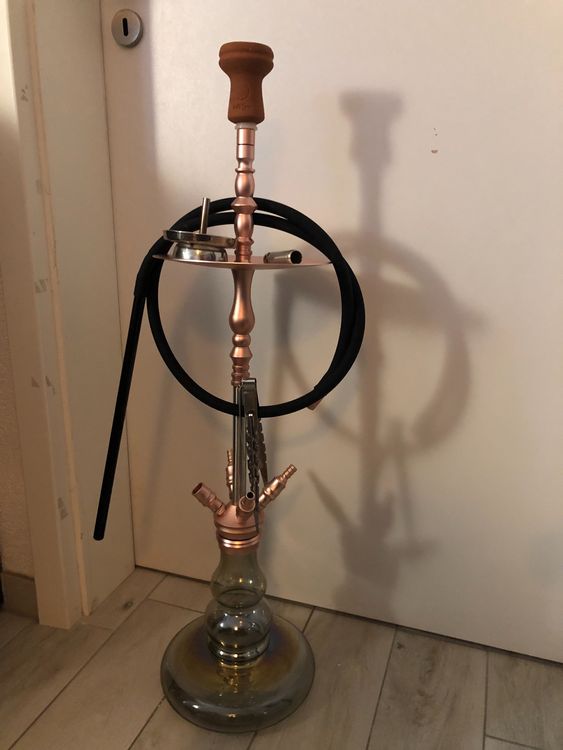 Shisha Mata Leon Excalibur | Kaufen auf Ricardo