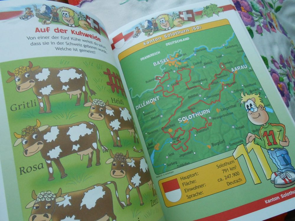 Ich lerne die Schweiz kennen / Lesen, Lernen, Rätseln | Kaufen auf Ricardo