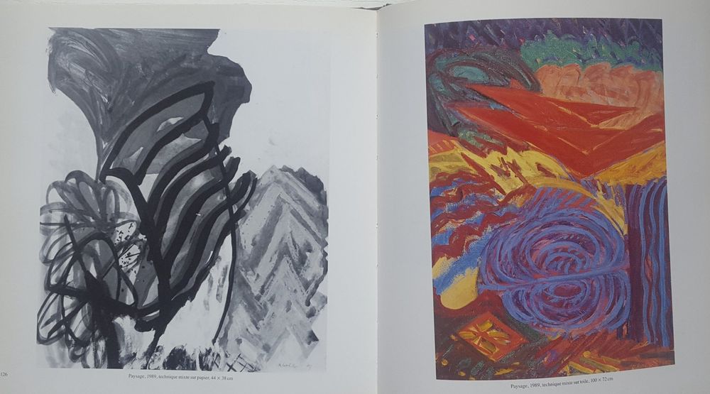 Solothurner Künstler: Max Kohler: zum 70. Geburtstag 1989 (Gebraucht) in Bern für CHF 19.9 – mit ...