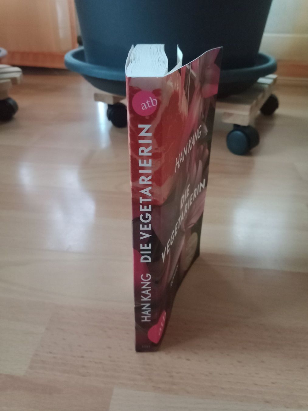 Han Kang Die Vegetarierin Roman Nobelpreis Literatur 2024 (Gebraucht ...