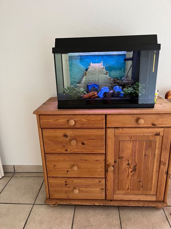 Aquarium 65l Juwel komplett mit Möbel | Kaufen auf Ricardo