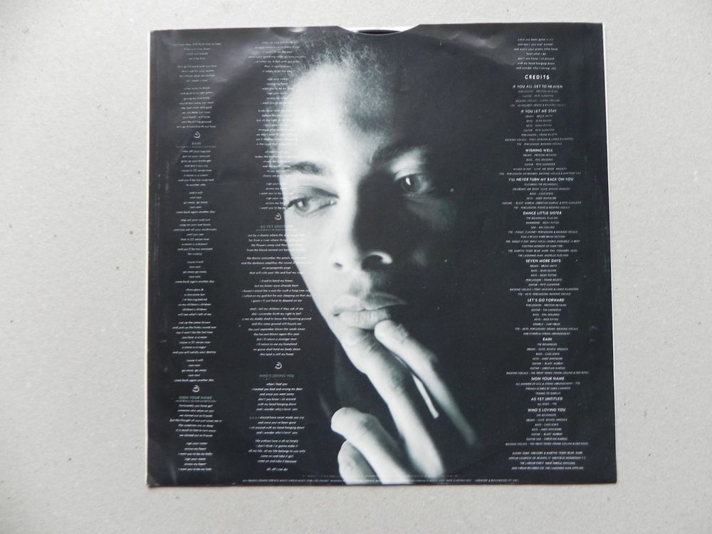 LP USA R & B Sänger Terence Trent D`Arby 1987 Debut Album | Kaufen auf ...