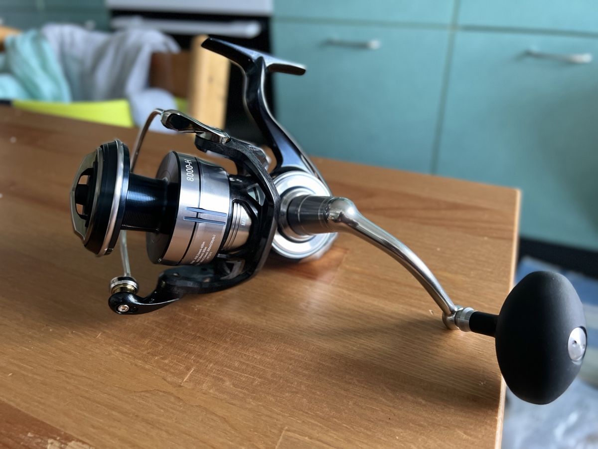 Daiwa Certate SW 8000-H Top Zustand für die kommende Saison! (Neu ...