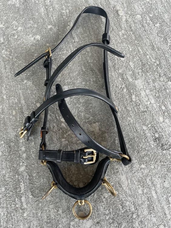 Solibel Busse Kappzaum Grösse Pony | Kaufen auf Ricardo