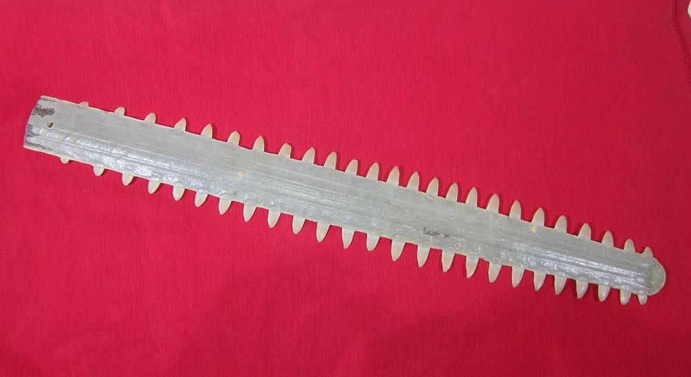 Säge eines Sägefisch oder Sägerochen (Gebraucht) in Ottikon für CHF 120 ...