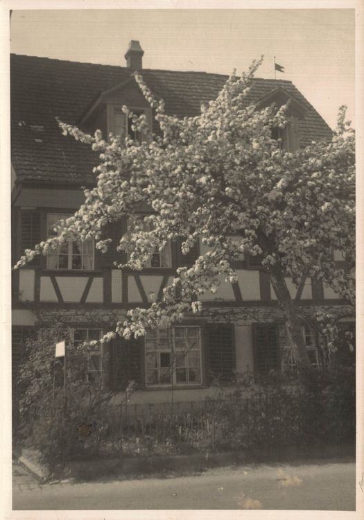 Thurgauer Riegelhaus mit blühendem Baum (Gebraucht) in Bronschhofen für CHF 12 – mit Lieferung ...