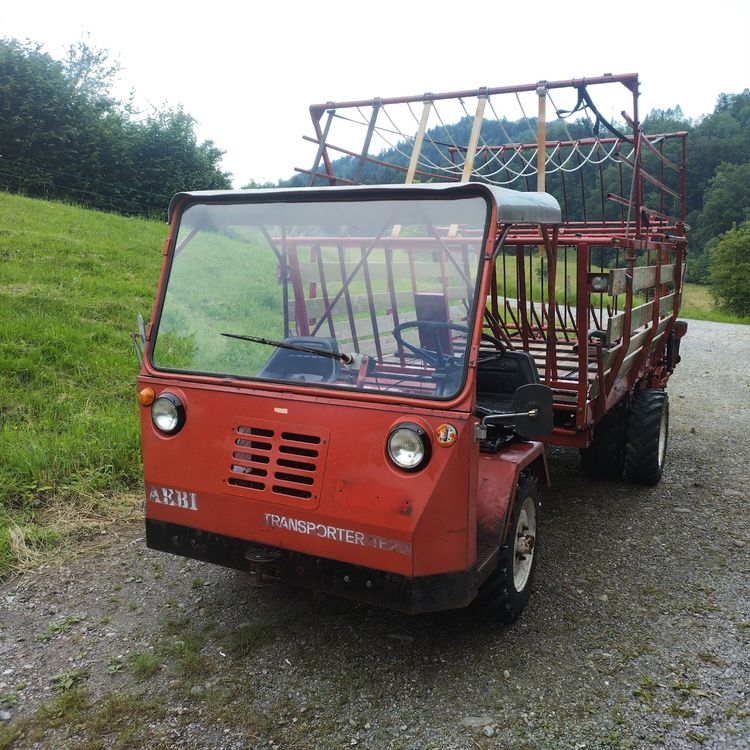 Transporter Aebi TP 20 (Gebraucht) in Herisau für CHF 3800 – nur Abholung auf Ricardo kaufen