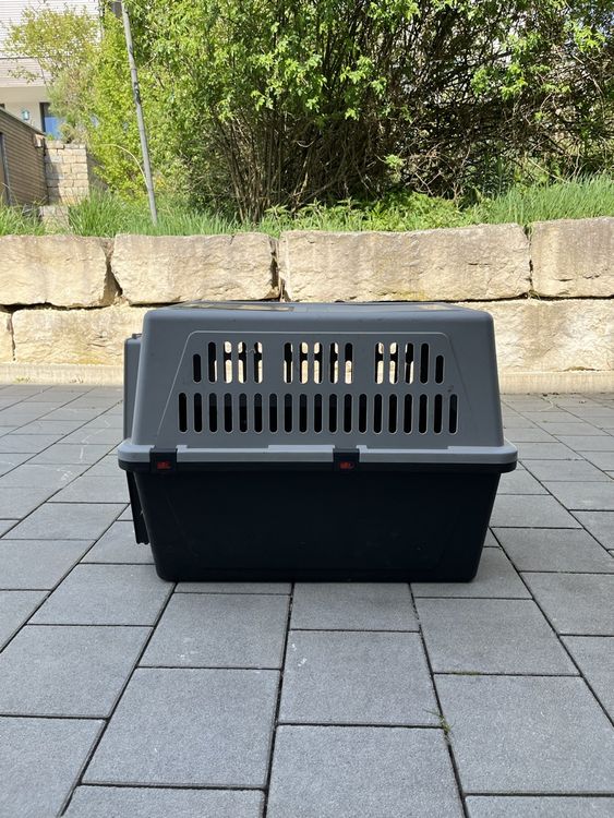 Hundetransportbox Atlas 50 (Gebraucht) in Kirchdorf für CHF 49 – nur Abholung auf Ricardo kaufen