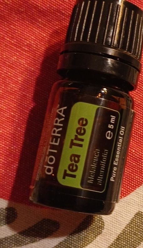 DoTerra Tea Tree 5ml Oil - Neuwertig und Ungeöffnet! (Neu und ...