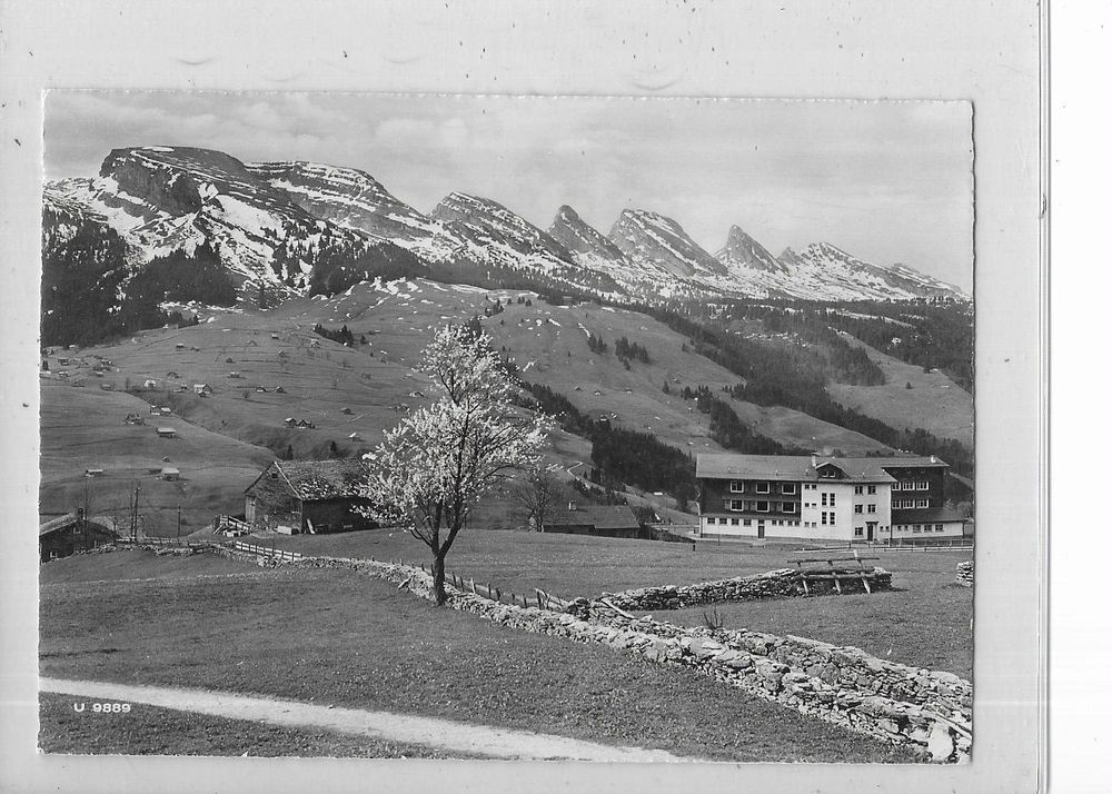 SG Wildhaus 1960 Rheintalerhaus (Gebraucht) in Schocherswil für CHF 6 – mit Lieferung auf ...