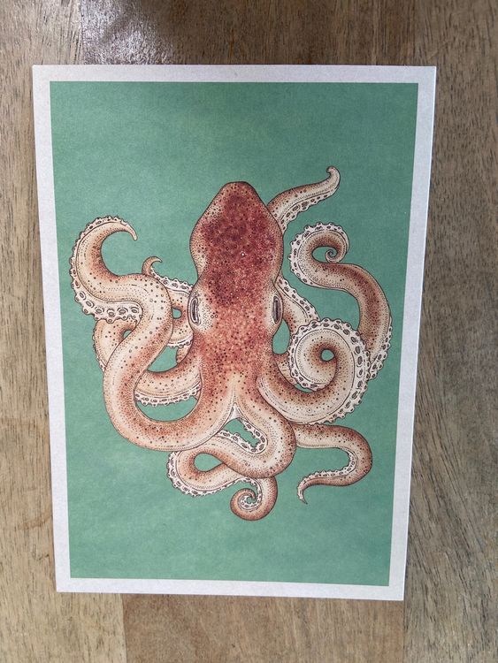 AK Illustration Vintagestyle Angel Octopus Oktopus | Kaufen auf Ricardo