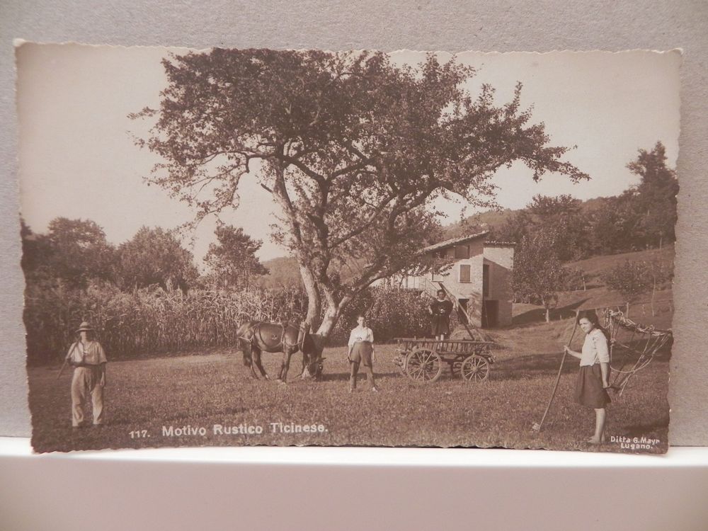 AK alte RAR Postkarte "Motivo Rustico Ticinese" (animata) (Gebraucht ...