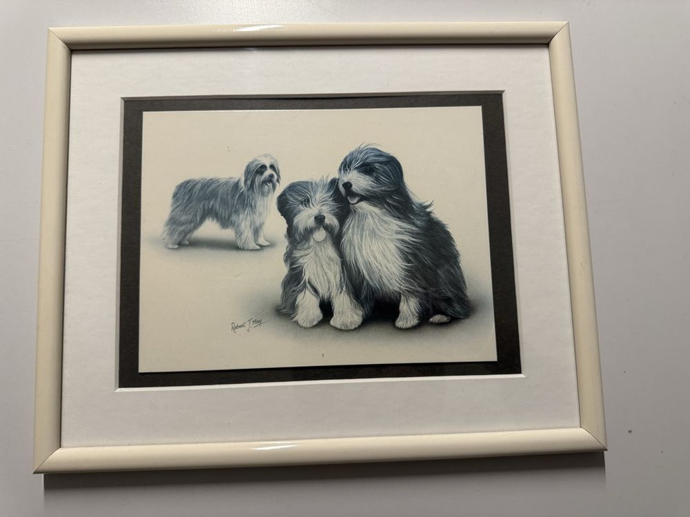 Hundezeichnung von Robert J. May im Rahmen, Top Zustand (Gebraucht) in ...