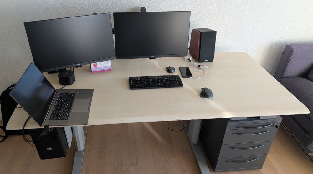 2x Benq Gw2480 Monitore und Monitorhalterung (Monitor arm) (Gebraucht ...