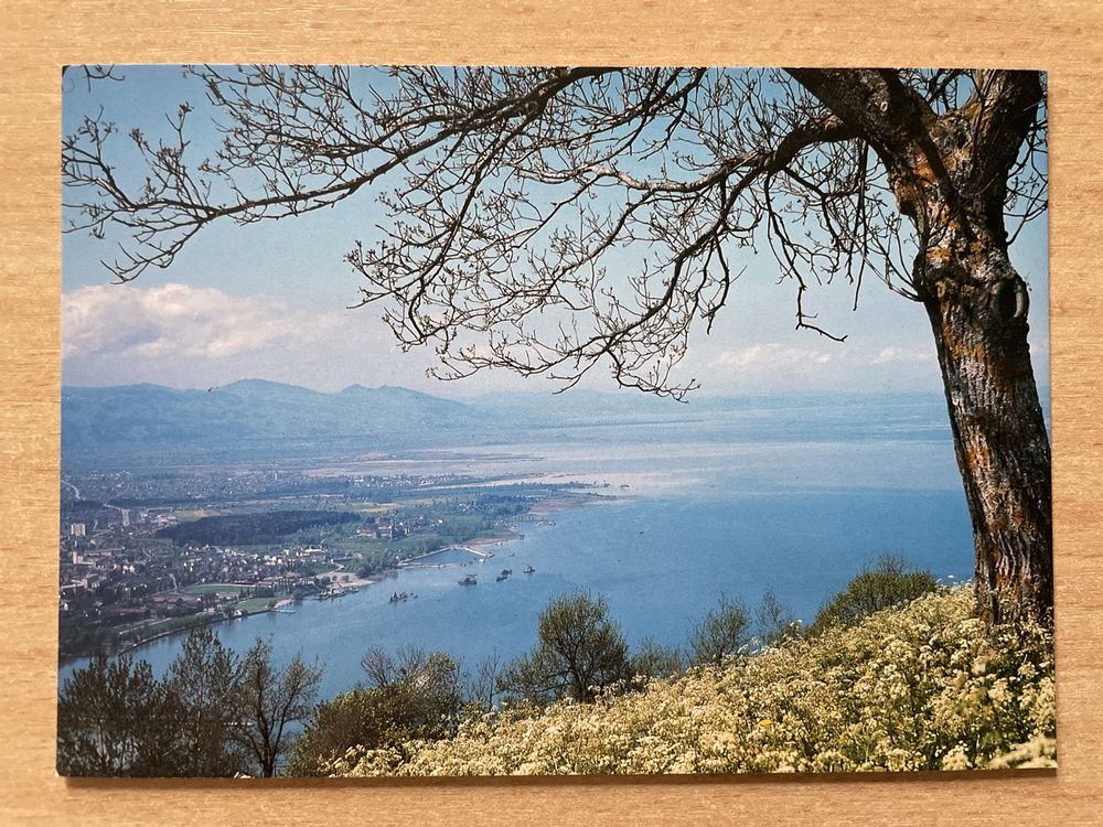 Bodensee Landschaft Postkarte Pfänder Bregenz Schweiz See Al (Gebraucht ...