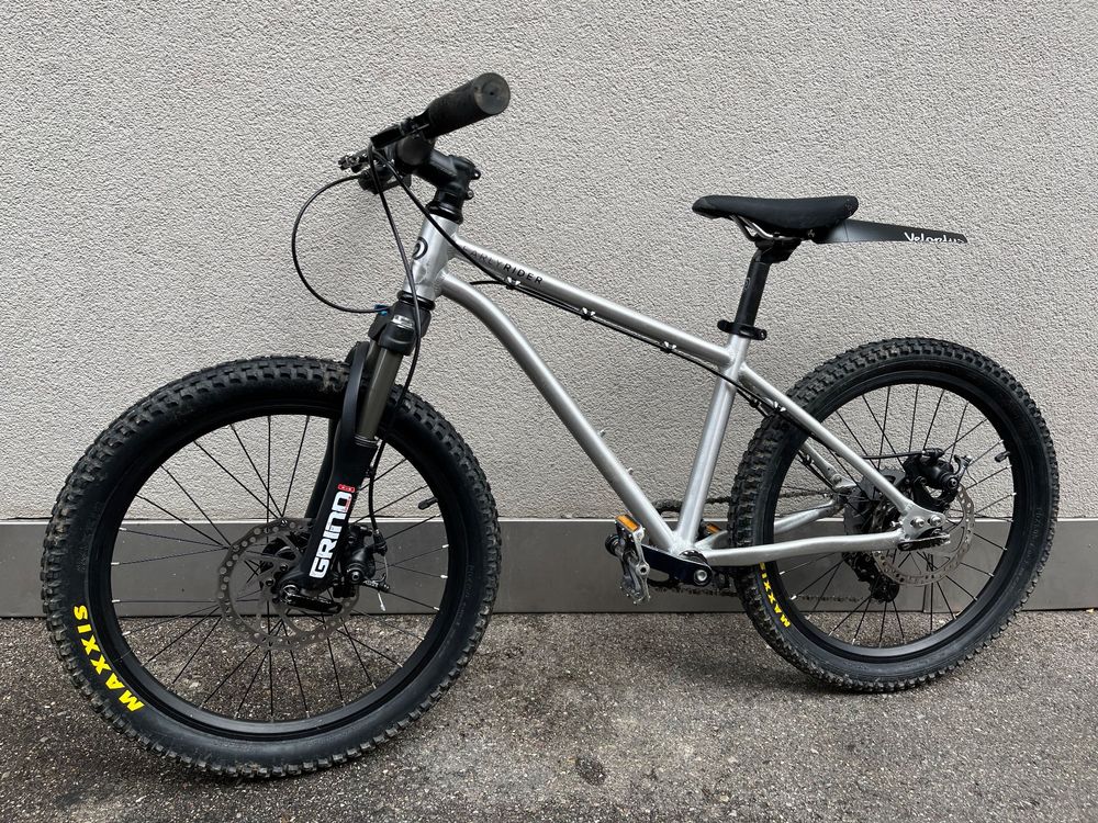 Early Rider Hellion Trail 20 Zoll (Gebraucht) in Allschwil für CHF 499 ...