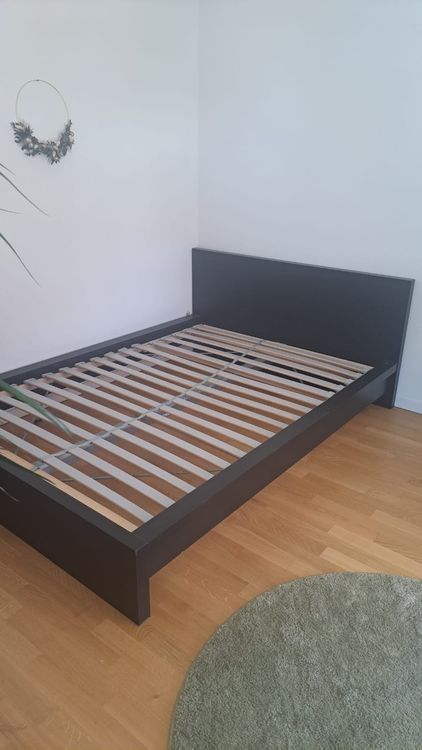 Imagedetail1 40m Bett 2022 09 01641324