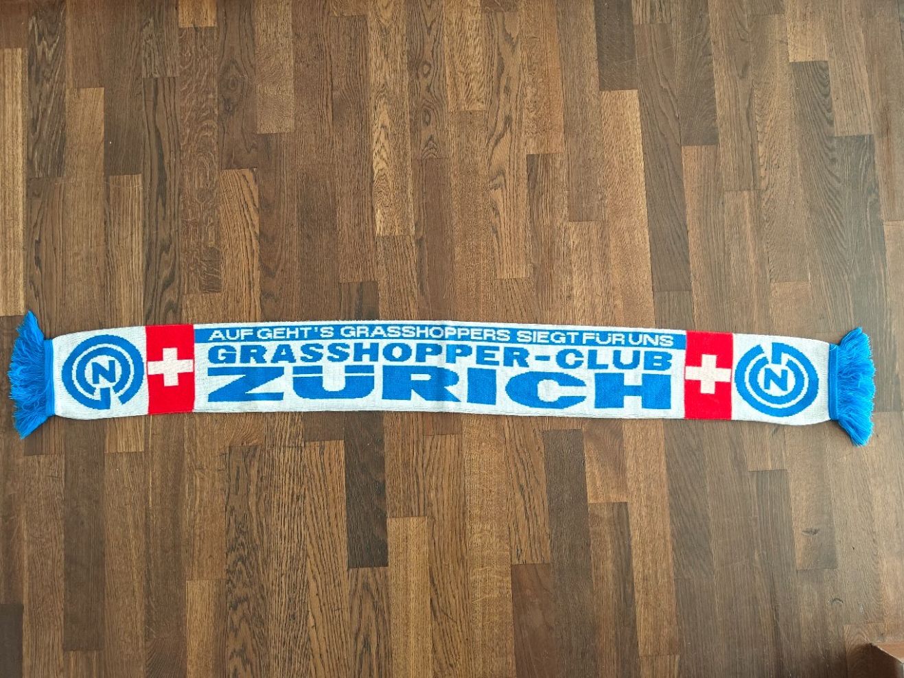 Grasshopper Club Zürich Fan-Schal „Auf geht’s Grasshoppers“ (Gebraucht ...