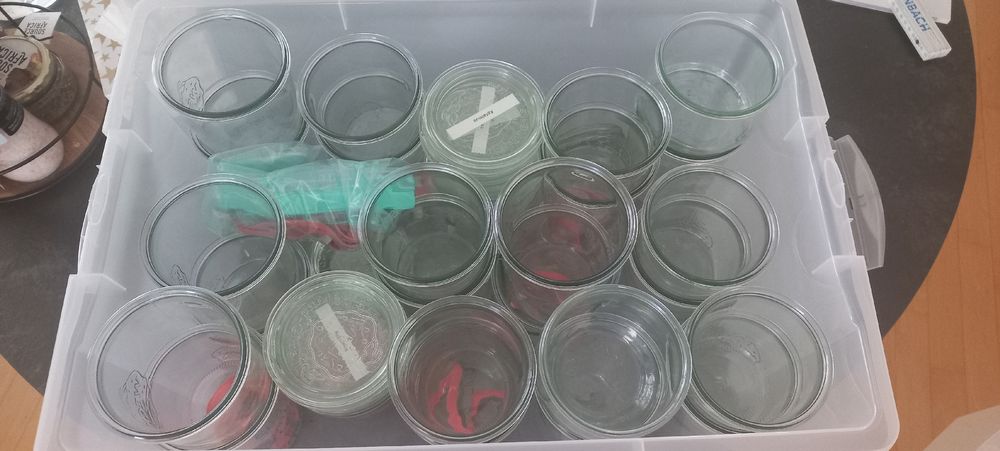 WECK Gläser Selbstabholer | Kaufen auf Ricardo