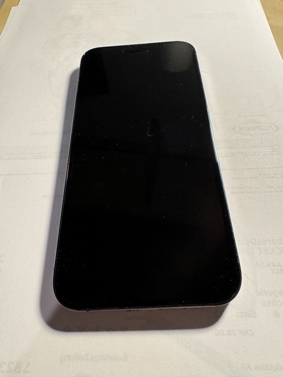 iPhone 14 Pro Max 256 GB violett (Glasrückseite defekt) (Gebraucht) in ...