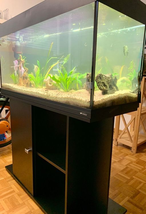 Aquarium ferplast Dubai 190 liter Komplett (Gebraucht) in Zuchwil für ...
