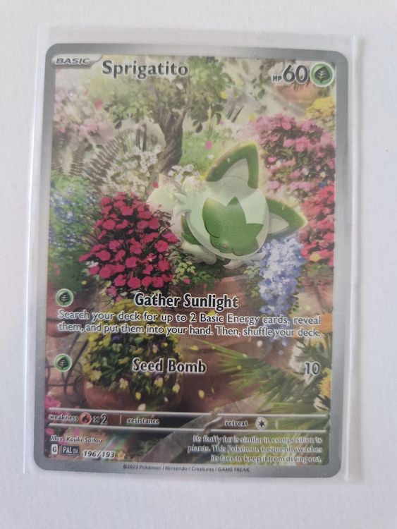 Sprigatito 196/193 paldea pokemon card (Neu (gemäss Beschreibung)) in ...