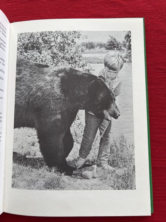 Mein Freund Ben, Foto Fernsehbuch, Notruf aus dem Sumpf 1970 | Kaufen ...