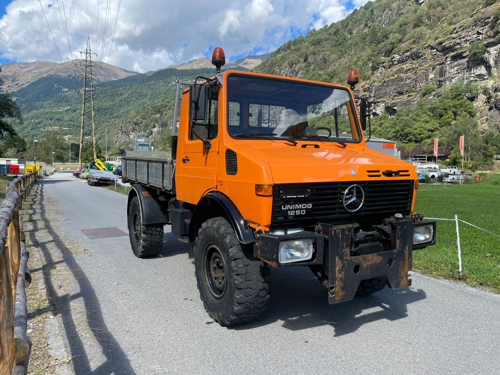 Unimog U1250 | Kaufen auf Ricardo