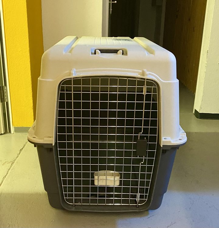 Hunde Transportbox XL | Kaufen auf Ricardo