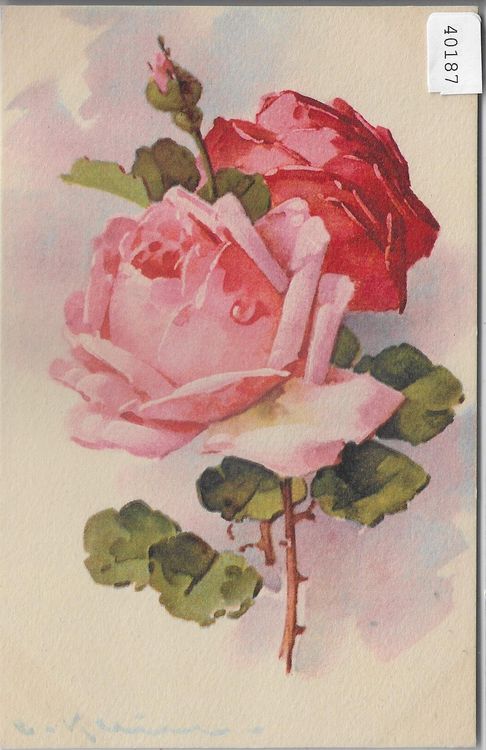 Catharina Klein - Rote Rosen - roses rouges - Litho | Kaufen auf Ricardo