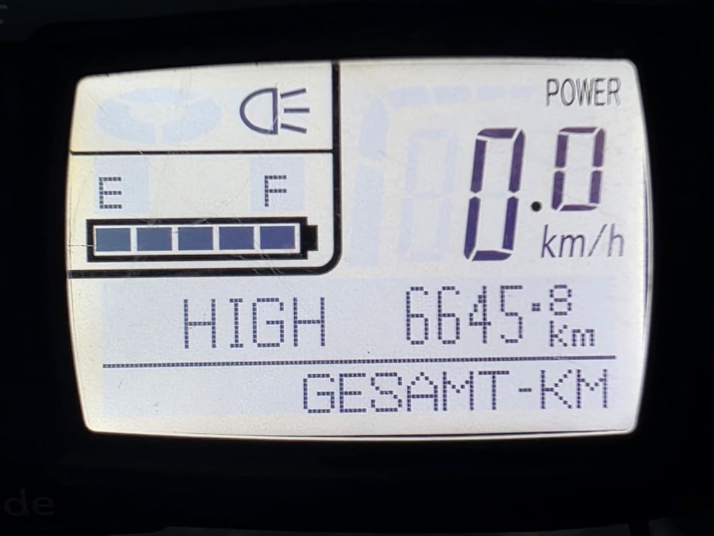 Flyer E-Bike 45km/h,36V/ 14-Gang Rohloff.M (Gebraucht) in Dallikon für CHF 1200 – nur Abholung ...