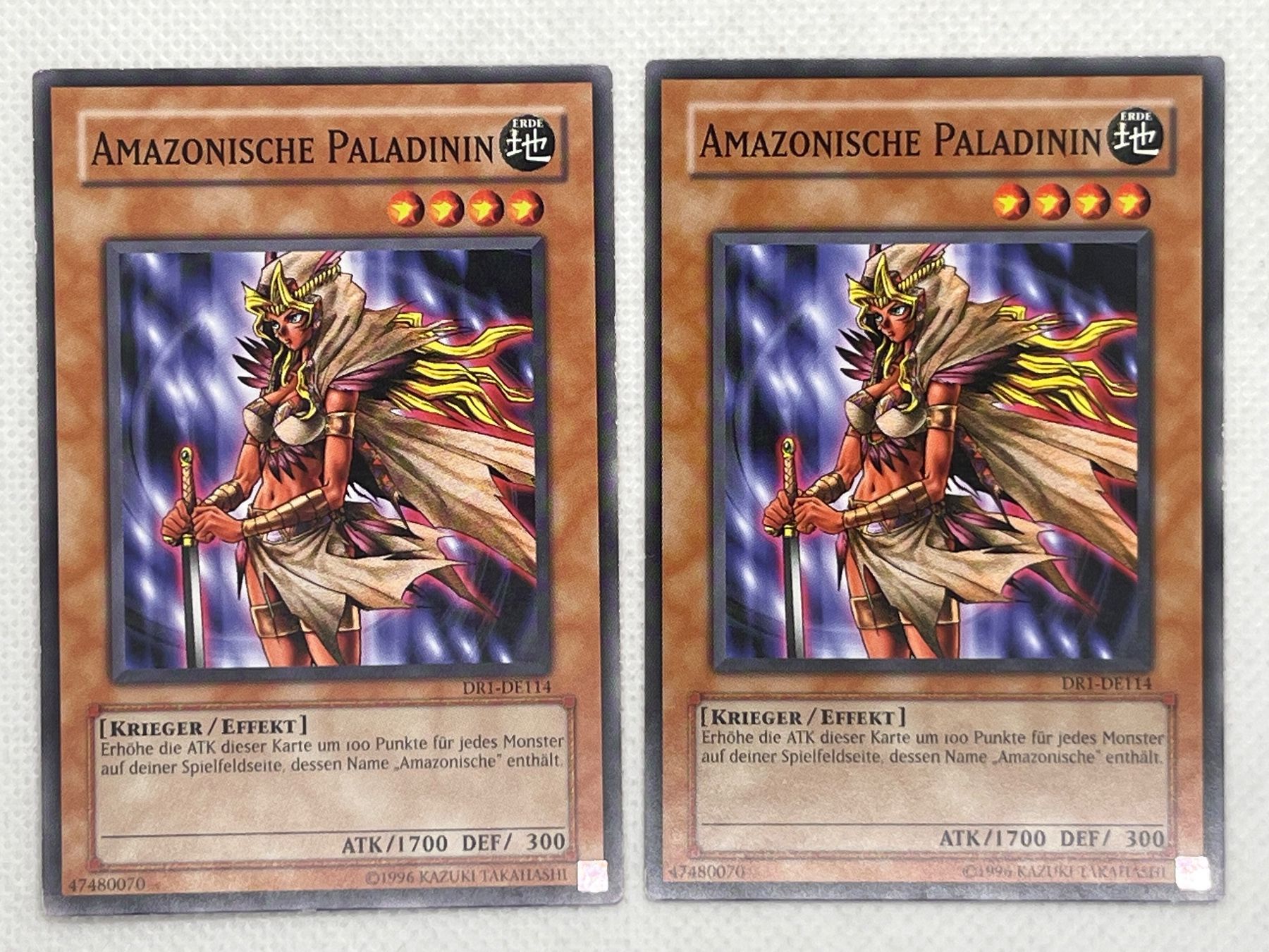 Yu-Gi-Oh! 2x Karte - Amazonische Paladinin DR1-DE114! (Gebraucht) in ...